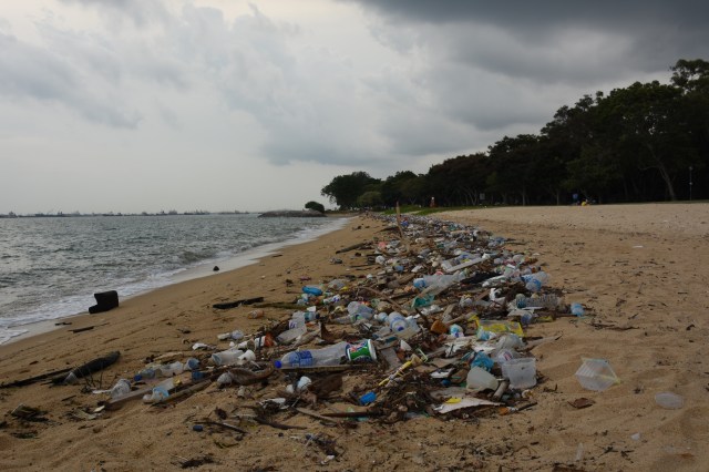 Garbage patch kids – The Full Cup Wellness
