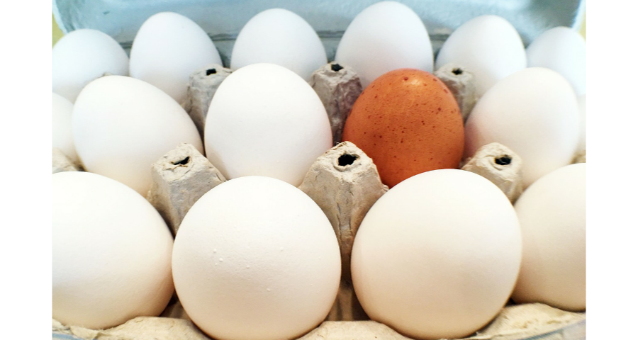 The Science Behind Food Poisoning From Leftovers – The Full Cup Wellness